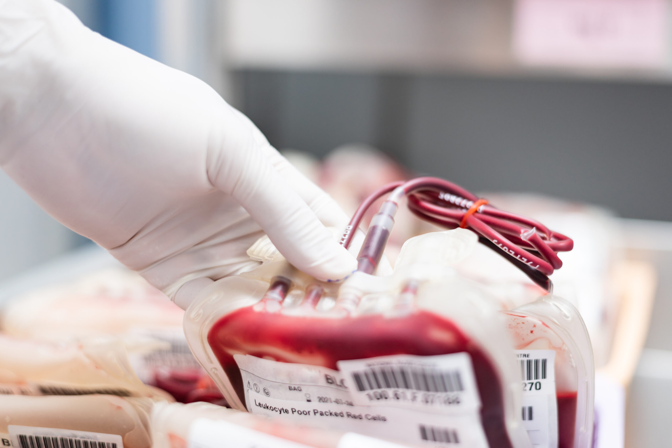 Cold Chain 101: Why Temperature Control Is Critical for Safe Blood ...